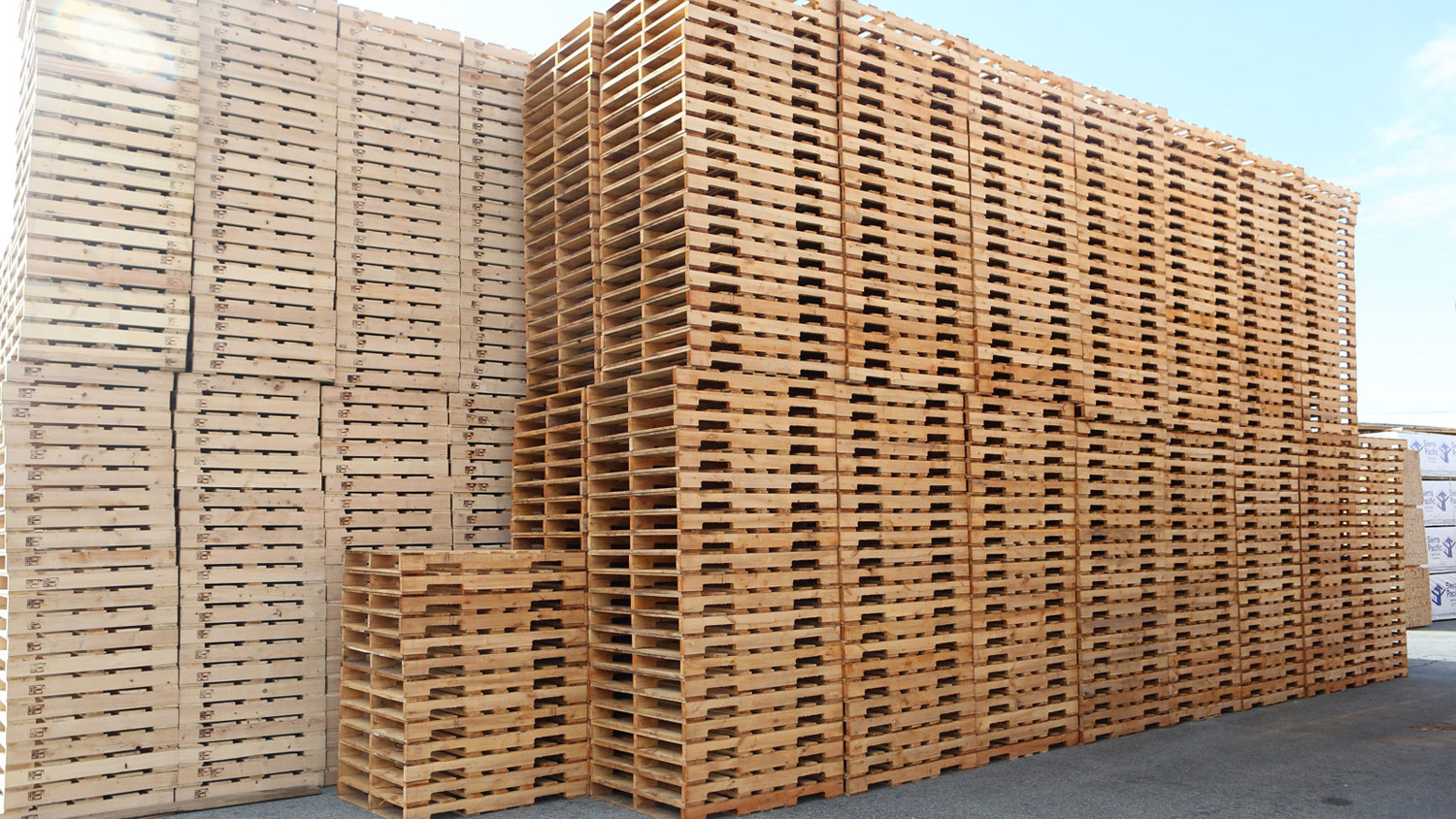 Services – Commercial Lumber & Pallet Company – Pallet Manufacturer